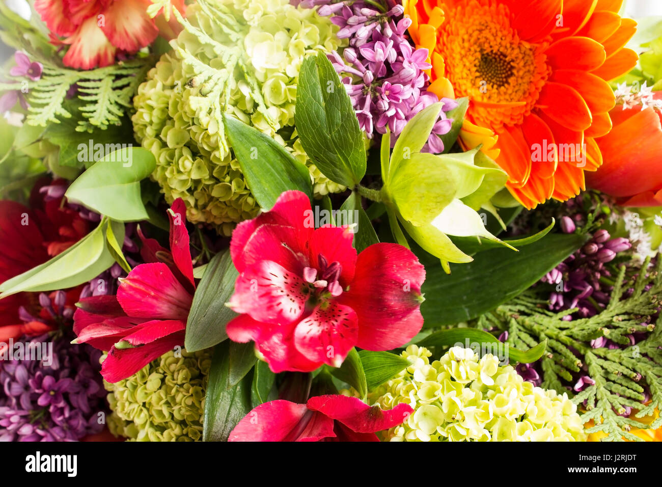Floral Background, Spring Flowers Stock Photo - Alamy