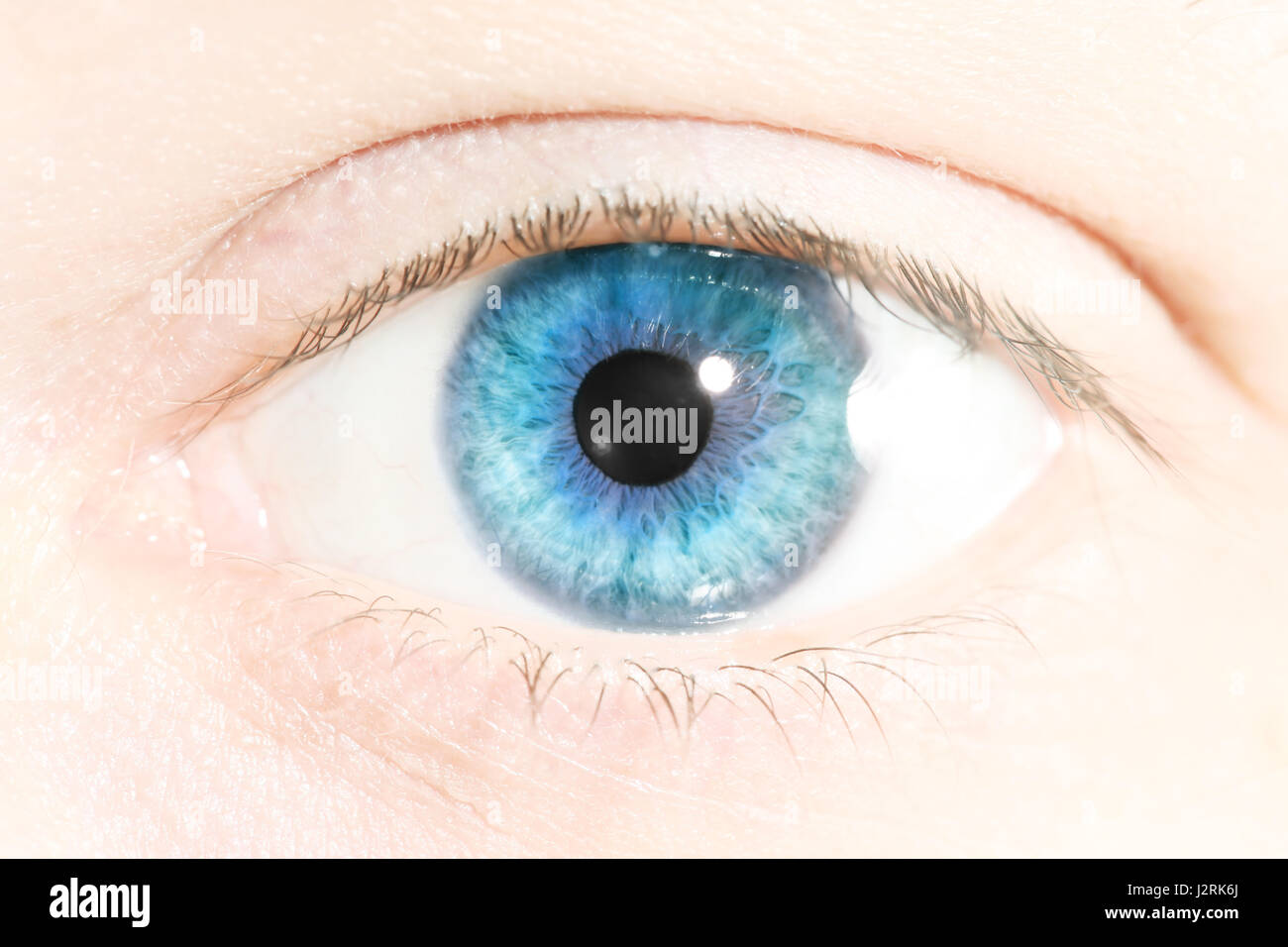 Closeup of a human eye Stock Photo - Alamy