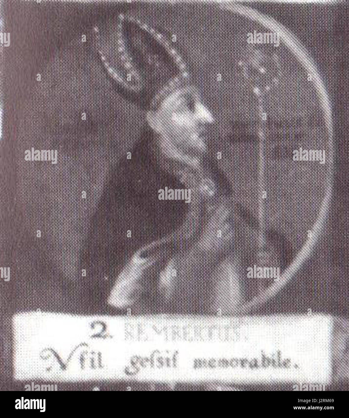 Rembert High Resolution Stock Photography and Images - Alamy