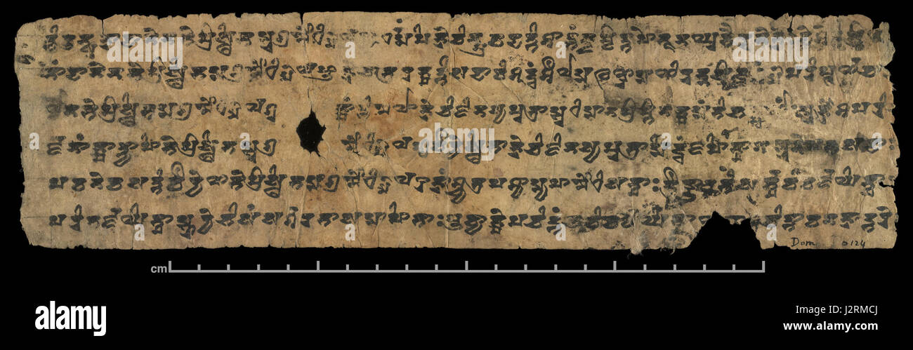 Brahmi Script
