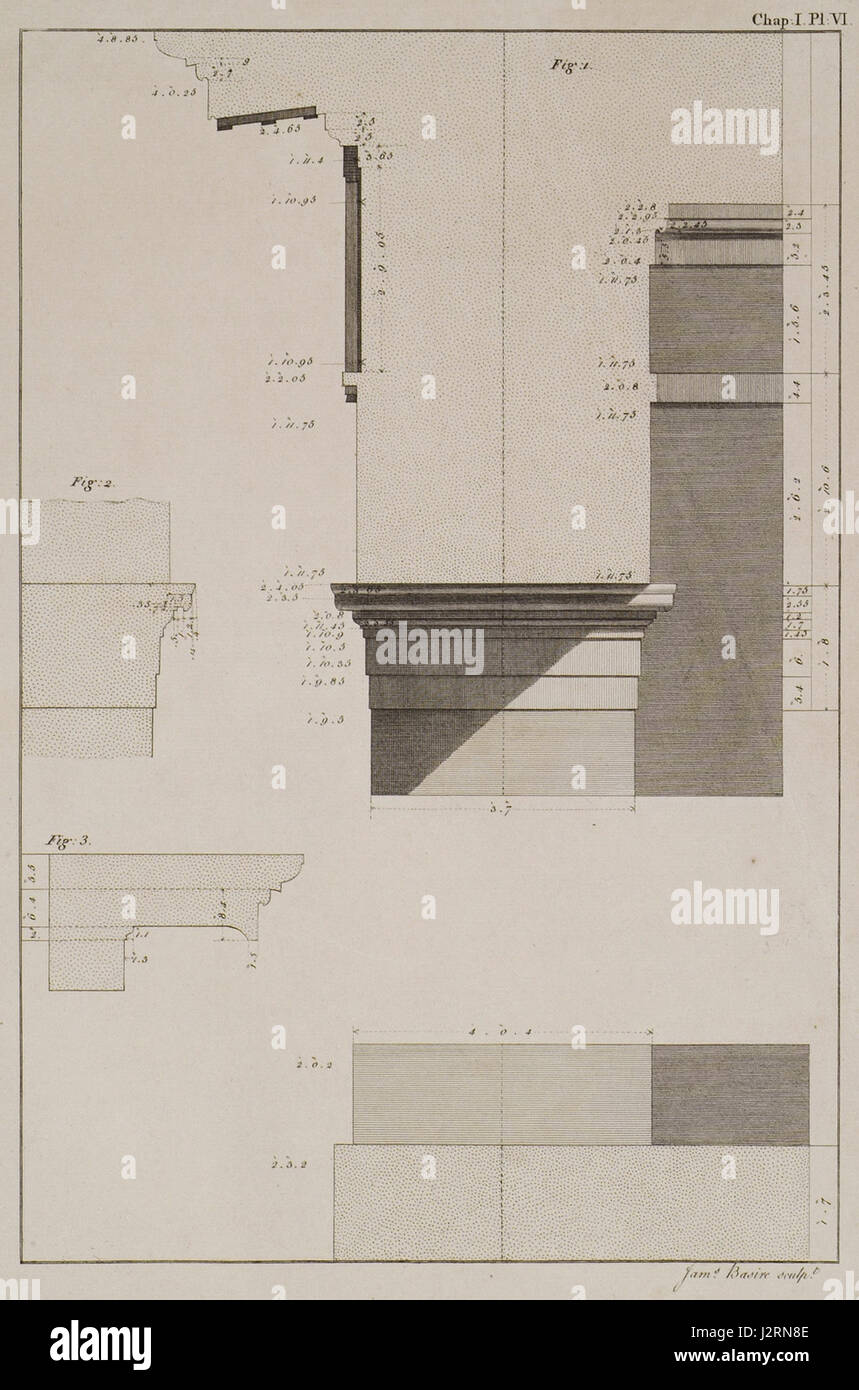 1 The capital of the Antae 2 & 3 A section of the capital of the Antae ...