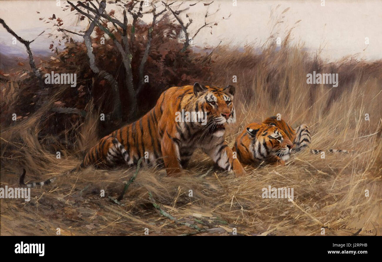 Roused, A Tiger and Tigress, 1912 - Wilhelm Friedrich Kuhnert (German ...
