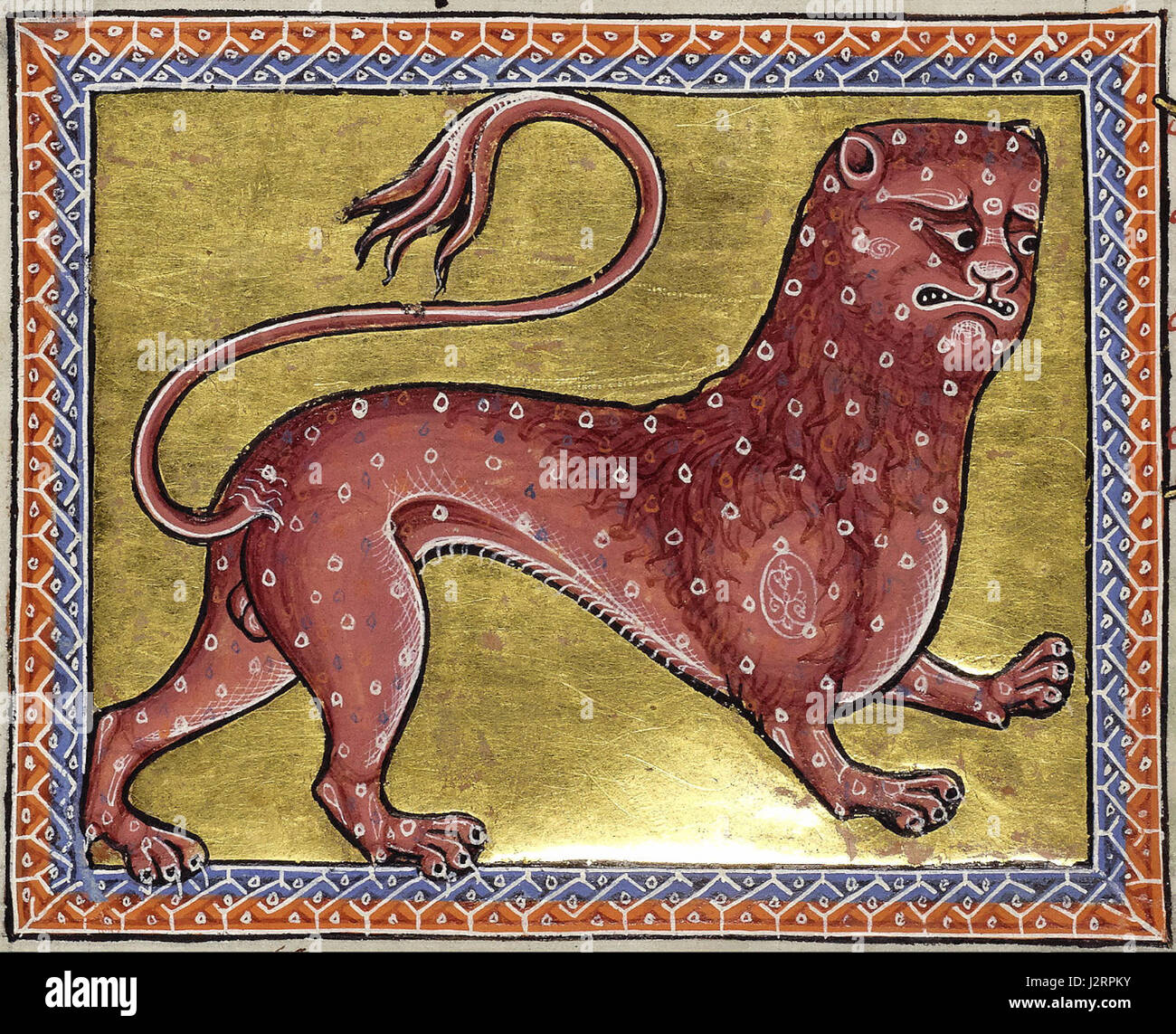 This detail from the Aberdeen Bestiary, featuring a leopard, showcases ...