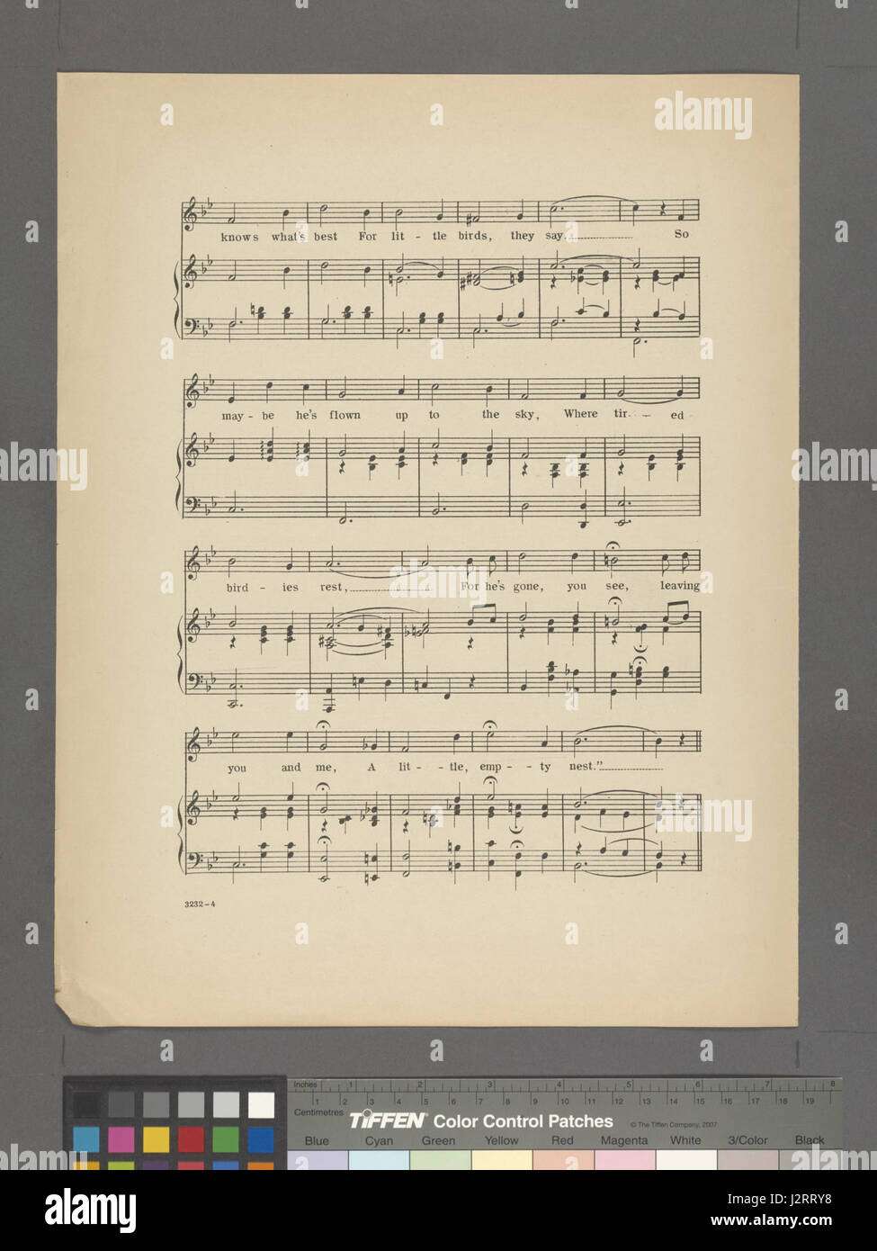 Empty nest illustration hi-res stock photography and images - Alamy