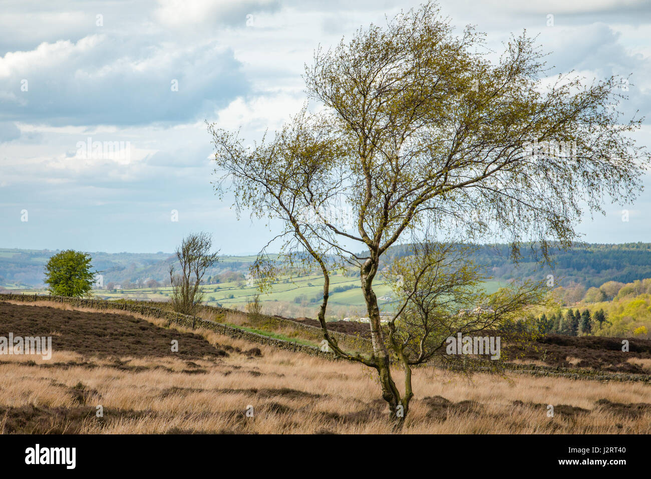 Rowsley peak district hi-res stock photography and images - Alamy