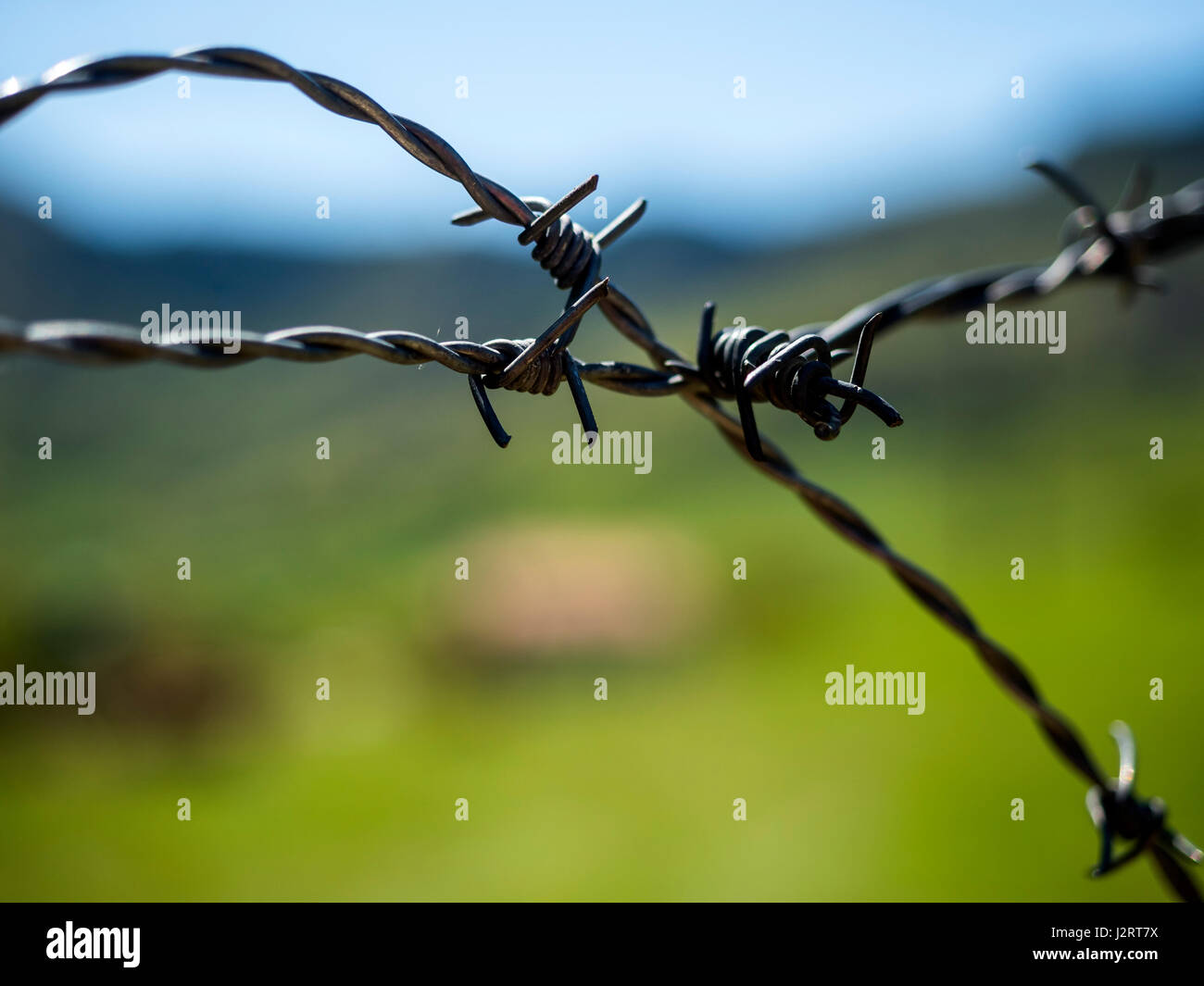 Barbed wire at farm landscape Stock Photo - Alamy