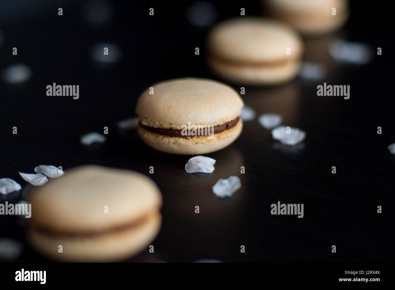 Macaroons with chocolate cream ordered in line decorated with pebbles ...