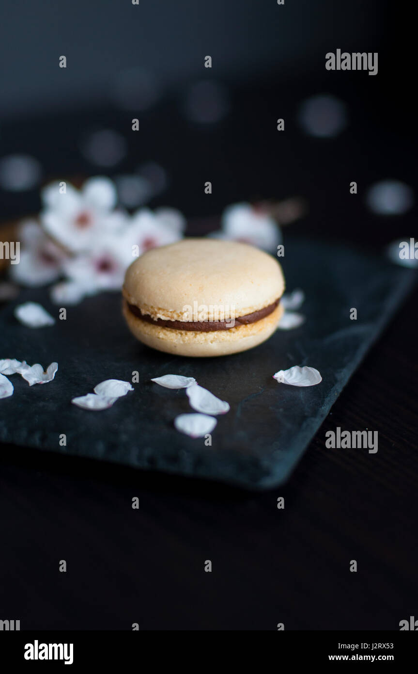 Single macaroon with chocolate cream decorated with white pebbles Stock ...