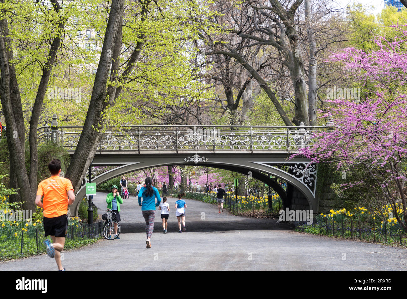 Steel pedestrian bridge in park hi-res stock photography and images - Alamy