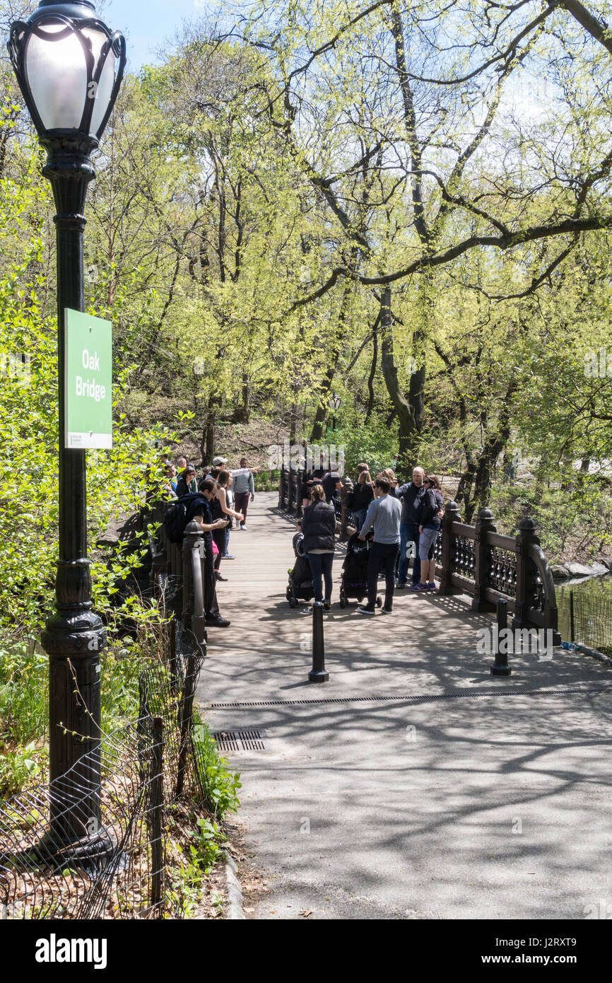 Oak Bridge in Central Park, NYC, USA Stock Photo - Alamy