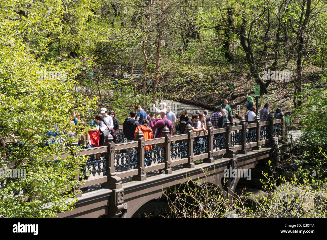 Oak Bridge in Central Park, NYC, USA Stock Photo - Alamy