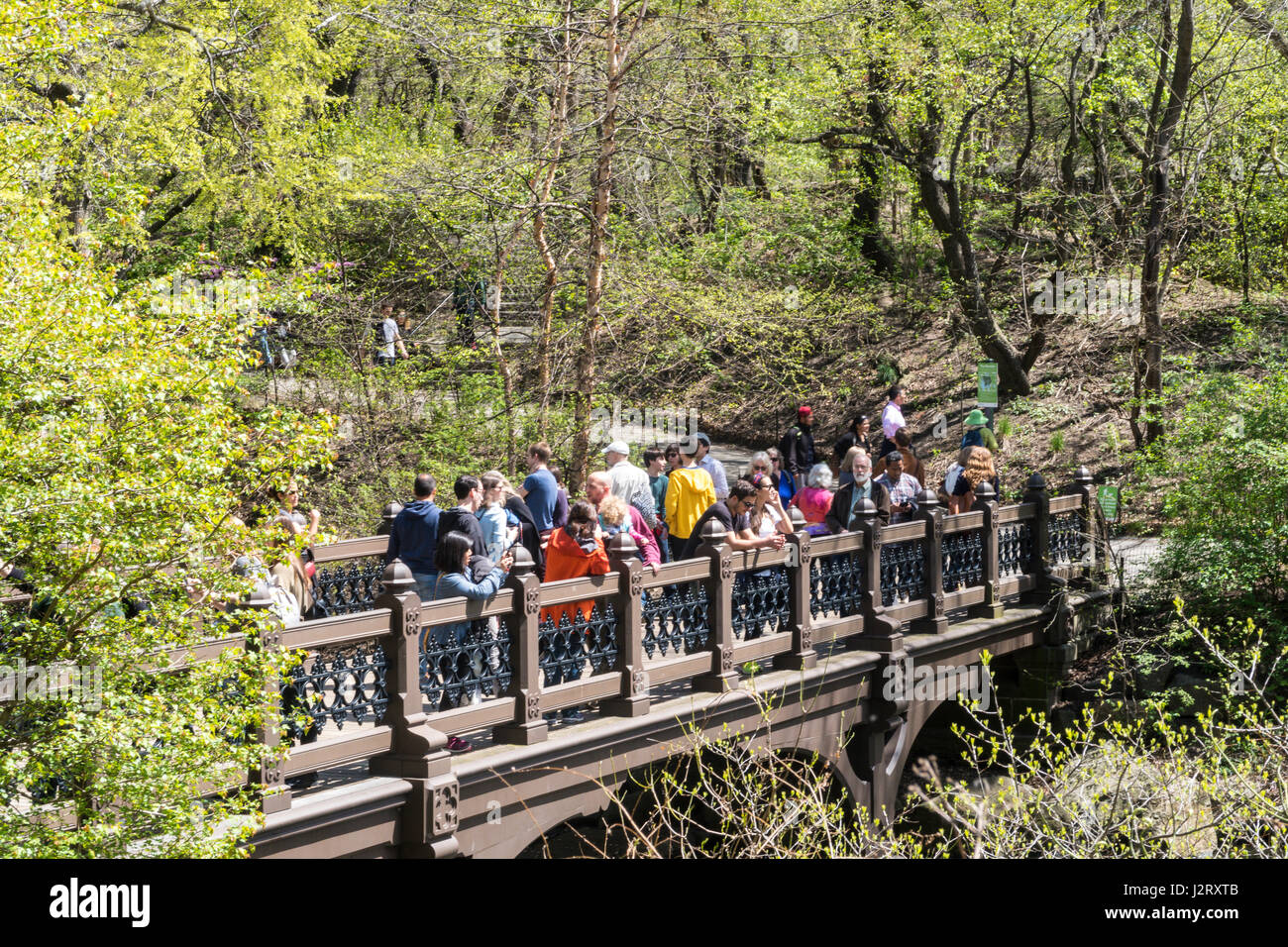 Oak Bridge in Central Park, NYC, USA Stock Photo - Alamy