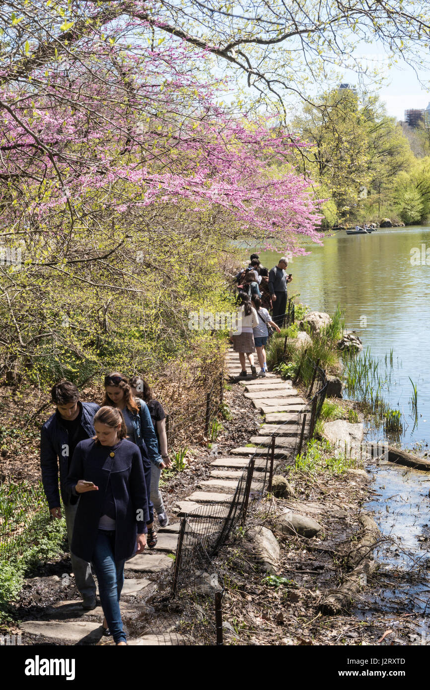 Sone path hi-res stock photography and images - Alamy