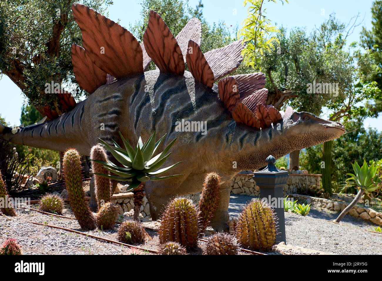 Prehistoric stegosaurus extinct species dinosaur hi-res stock ...