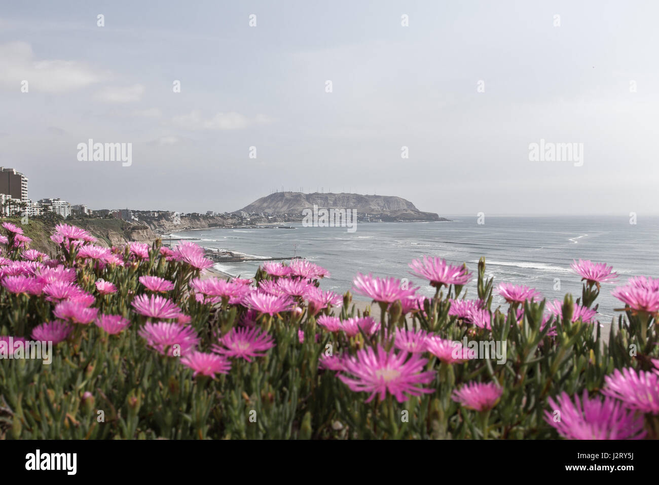 Lima Peru, Cityscape, Landscape, Island, Coast and Riff Stock Photo - Alamy