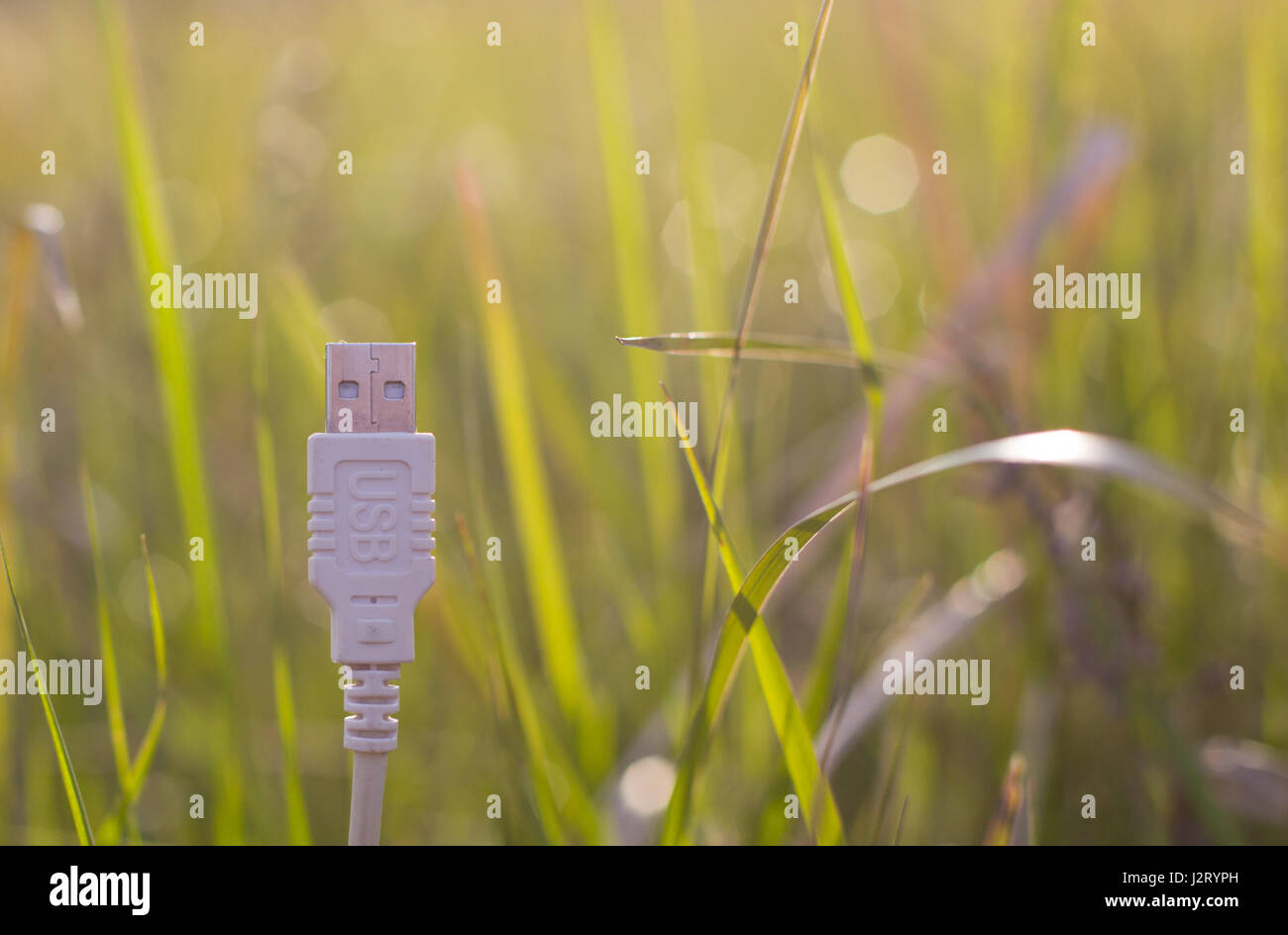 Green computer mouse on grass hi-res stock photography and images - Alamy