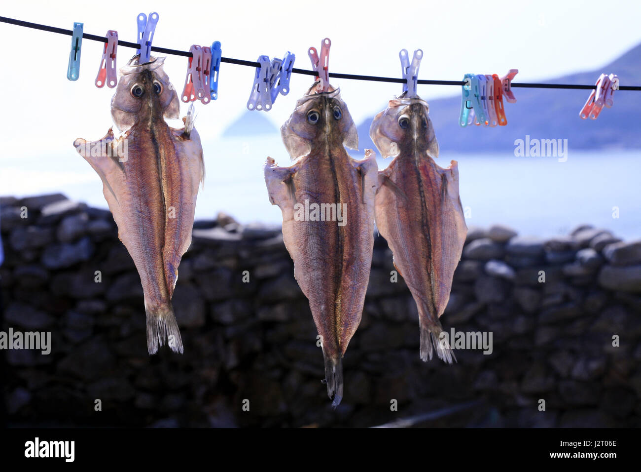Fish that are dried in the seaside Stock Photo - Alamy