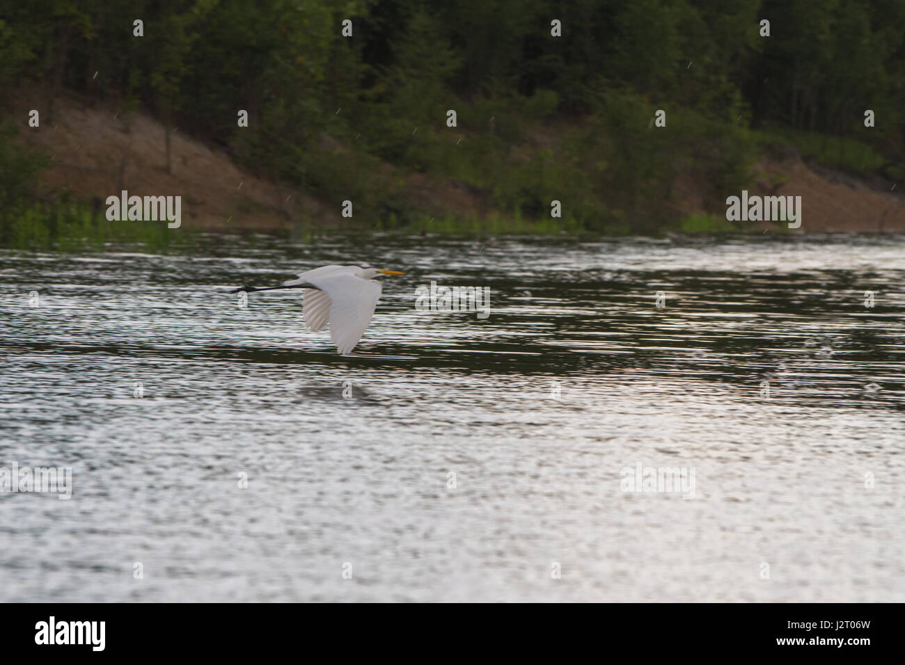 Amazonian rain in Rio Negro in the Amazon River basin, Brazil, South ...
