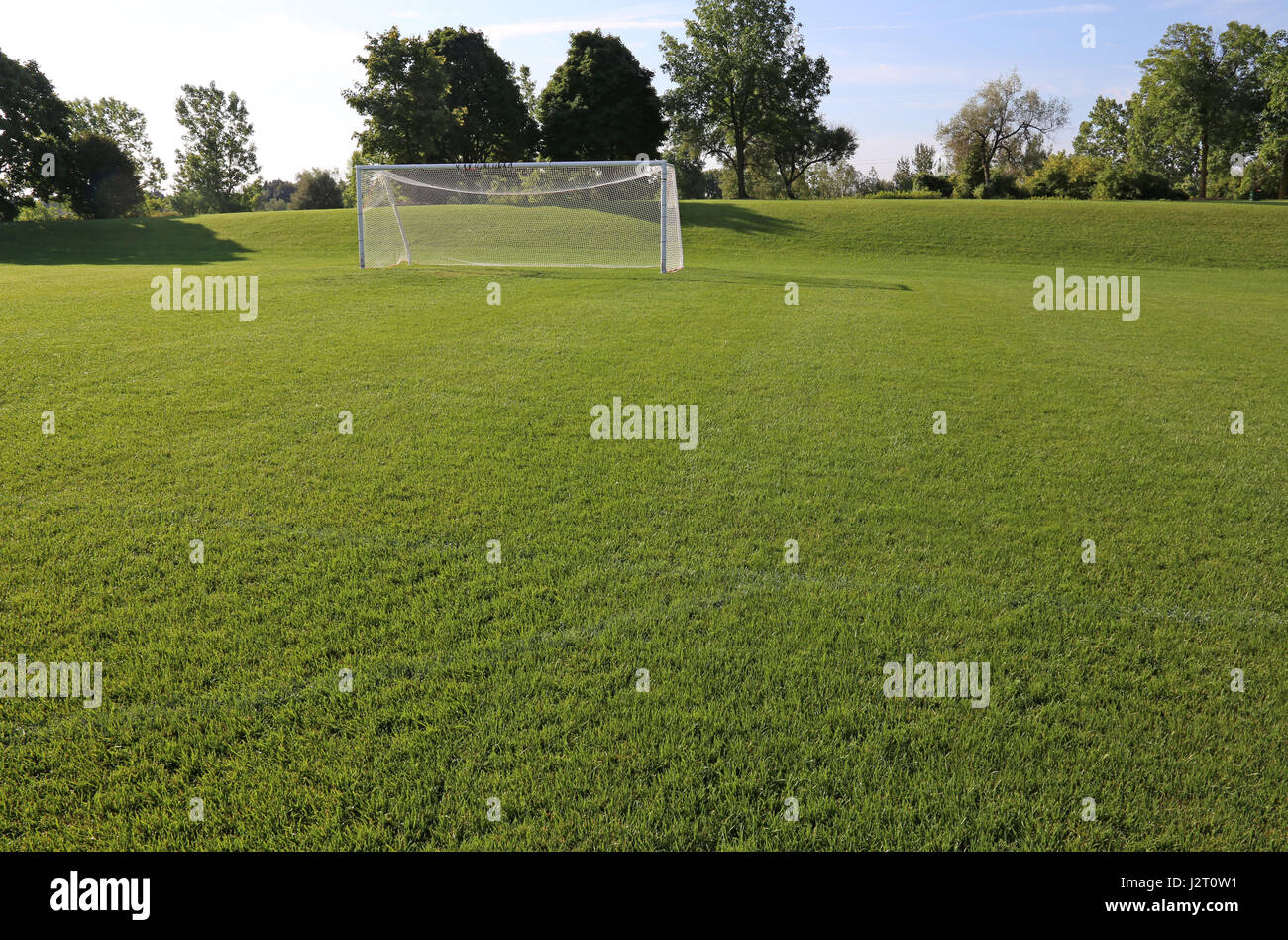 Soccer pitch hi-res stock photography and images - Alamy