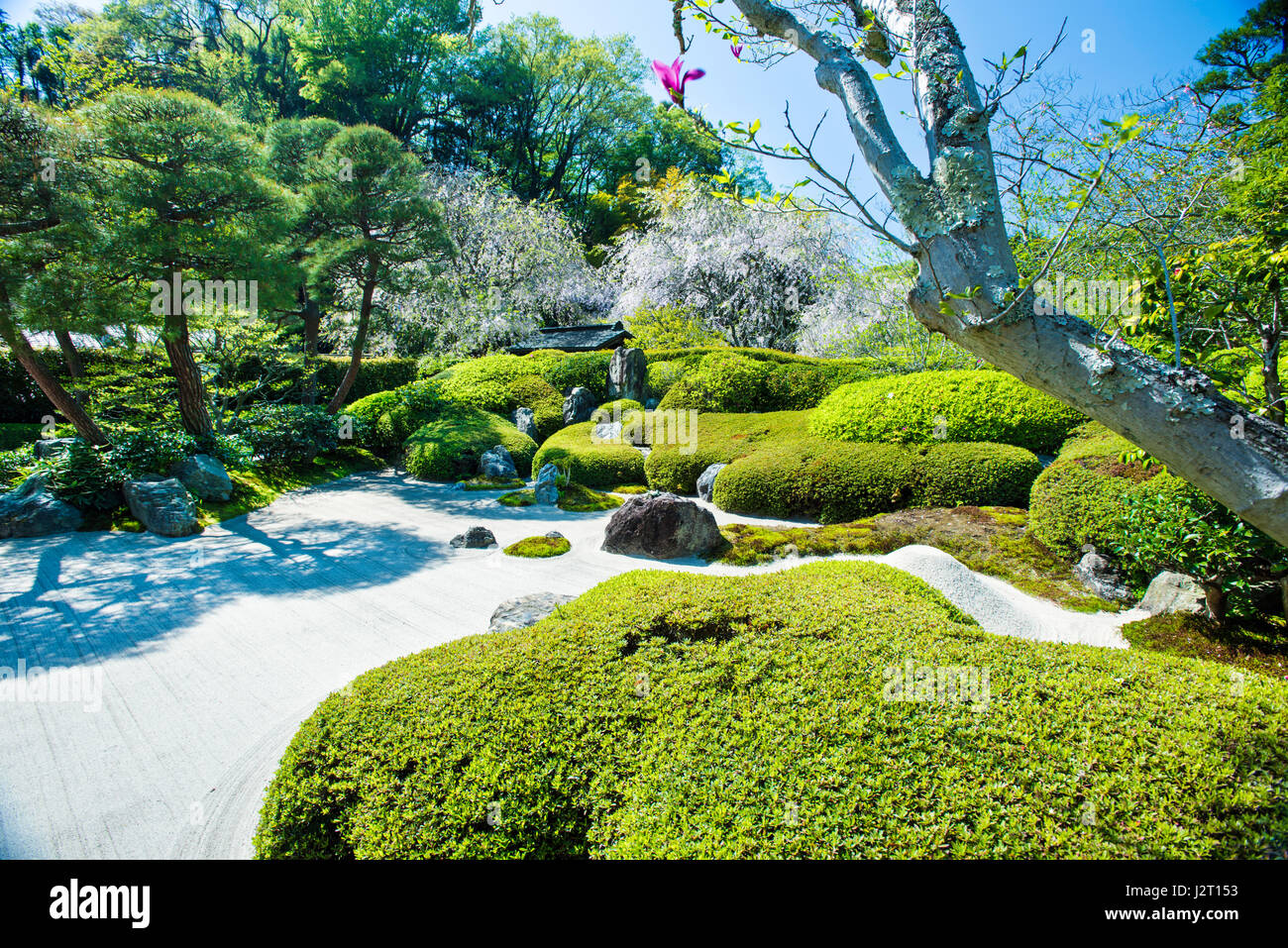 The rock garden, or karesansui, at Meigetsu-in Temple in Kamakura ...