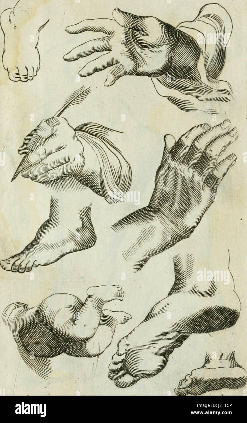 "Polygraphice, or, The arts of drawing, engraving, etching, limning ...