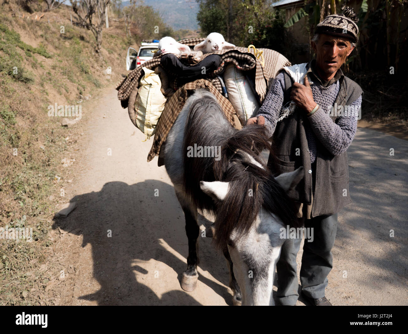 People in Mountain region. Hill People. Person with pony and lamb Stock ...