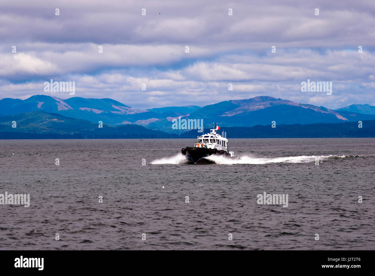 Pilot boat conducting large ships in the fairway mouth of the Columbia ...