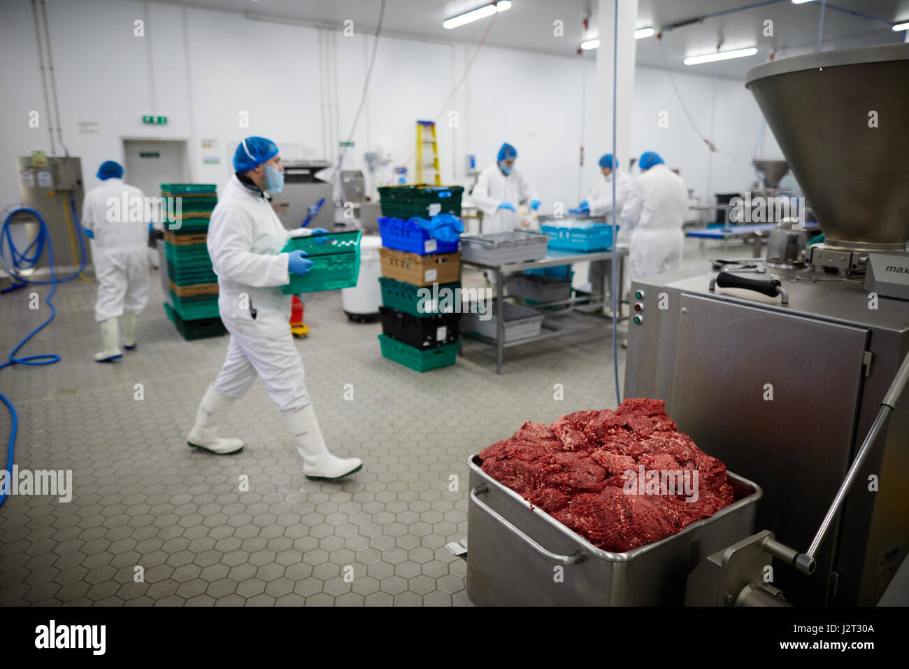 Meat processing plant hi-res stock photography and images - Alamy