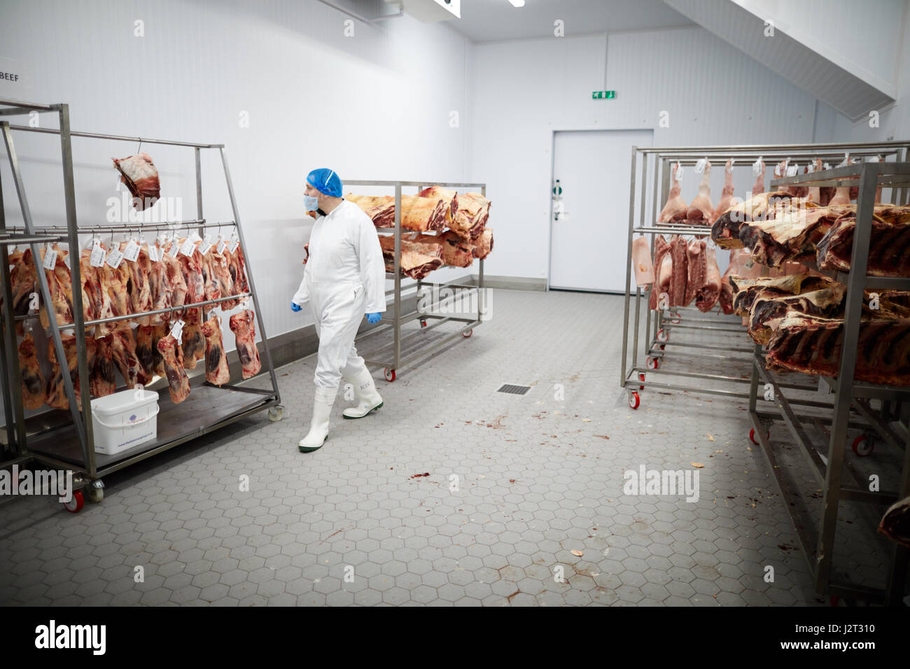 Meat processing plant hi-res stock photography and images - Alamy