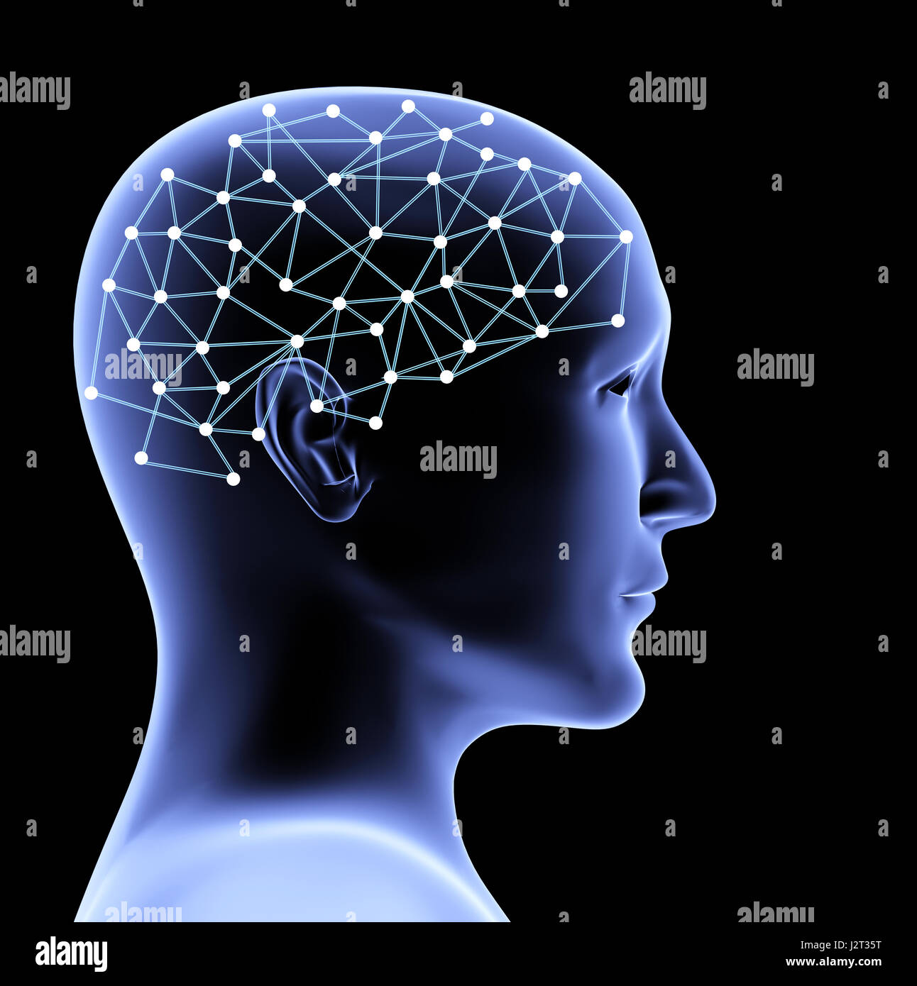 Transparent head of person and neural network of brain. Isolated on ...