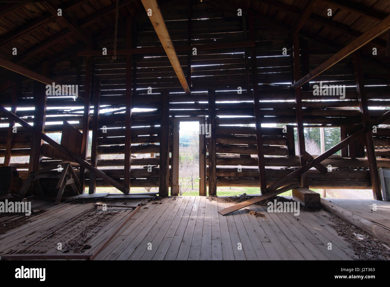 Rays of light breaks through the wall of the old wooden plank of ...
