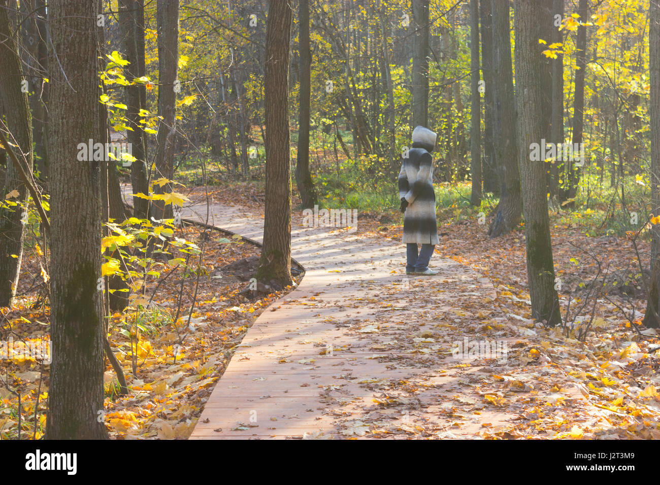 Scary figure in black mantle in the forest, desaturated image Stock ...
