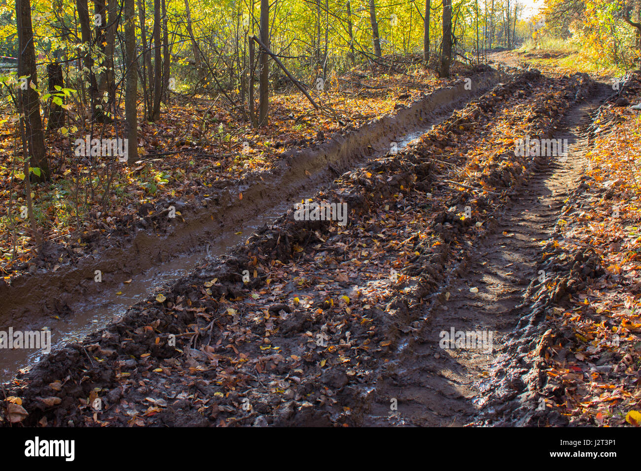 Messy rural dirt road after rain with deep tire tracks Stock Photo - Alamy