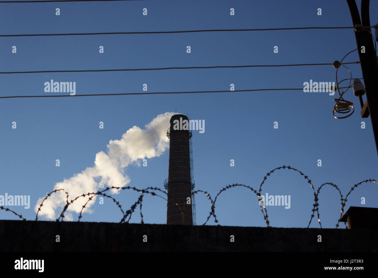 pipe smoke and a barbed wire. security plant Stock Photo - Alamy