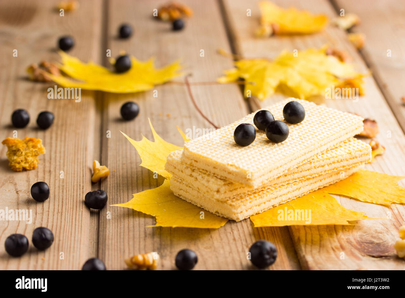 Autumn candy bar. Rustic autumn chocolate chip cookies Stock Photo - Alamy