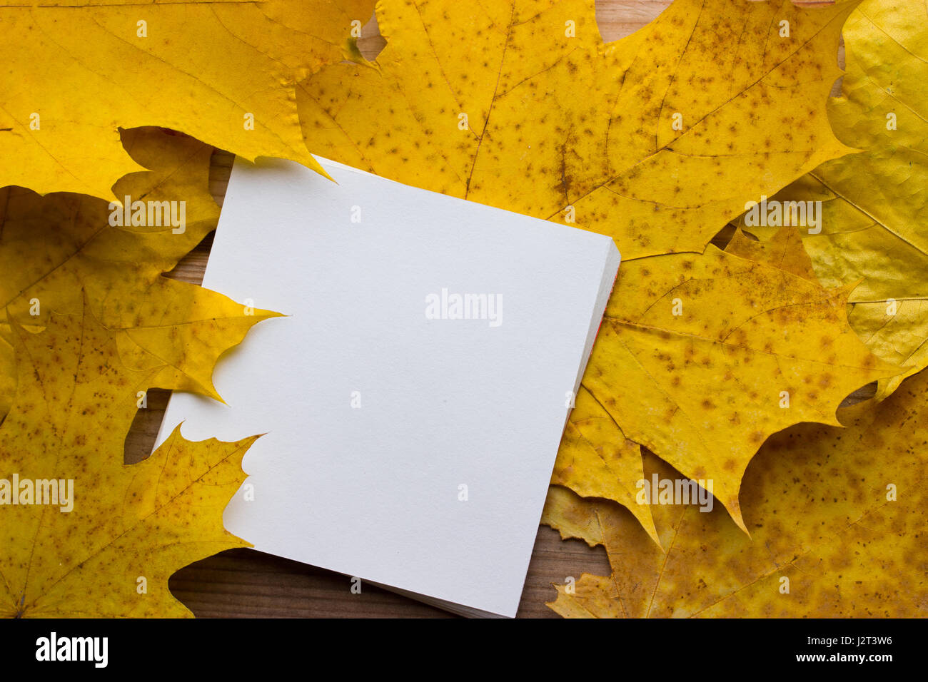 Background with bright autumn leaves and paper Stock Photo - Alamy