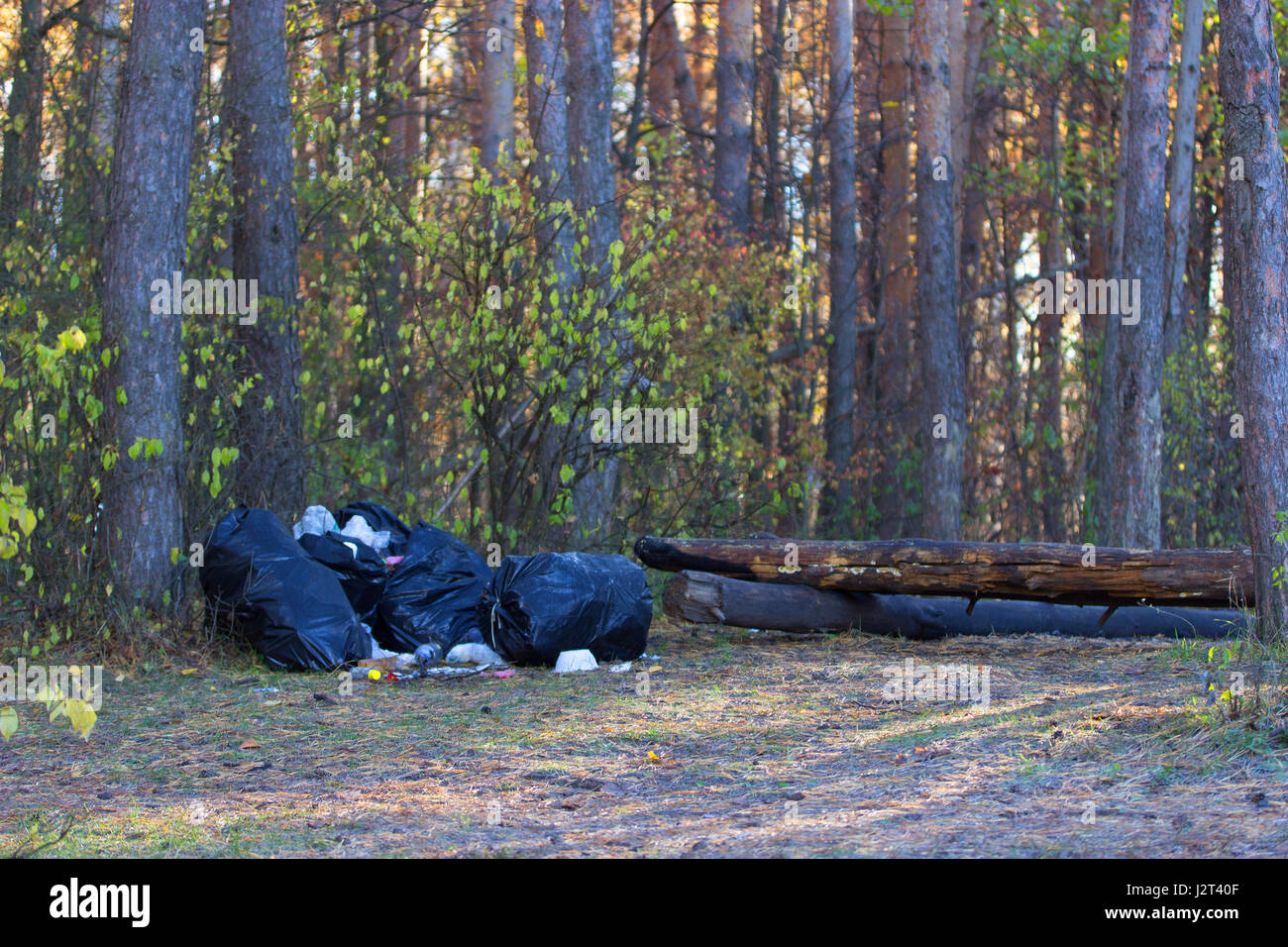 packages full of garbage in a park Stock Photo - Alamy