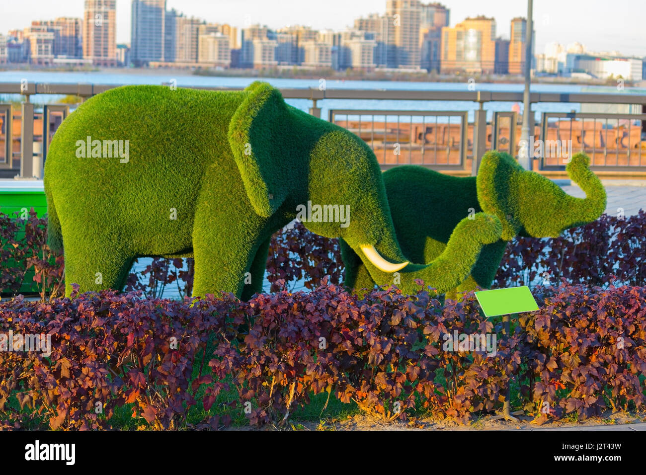 green elephants made by clipping trees. Kazan, Russia Stock Photo - Alamy