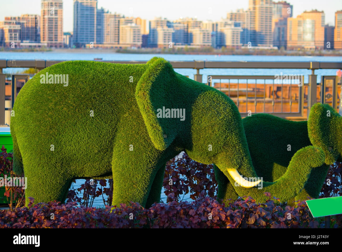 green elephants made by clipping trees. Kazan, Russia Stock Photo - Alamy