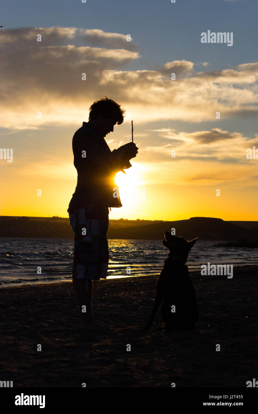sihouette of dog and host on the beach Stock Photo - Alamy