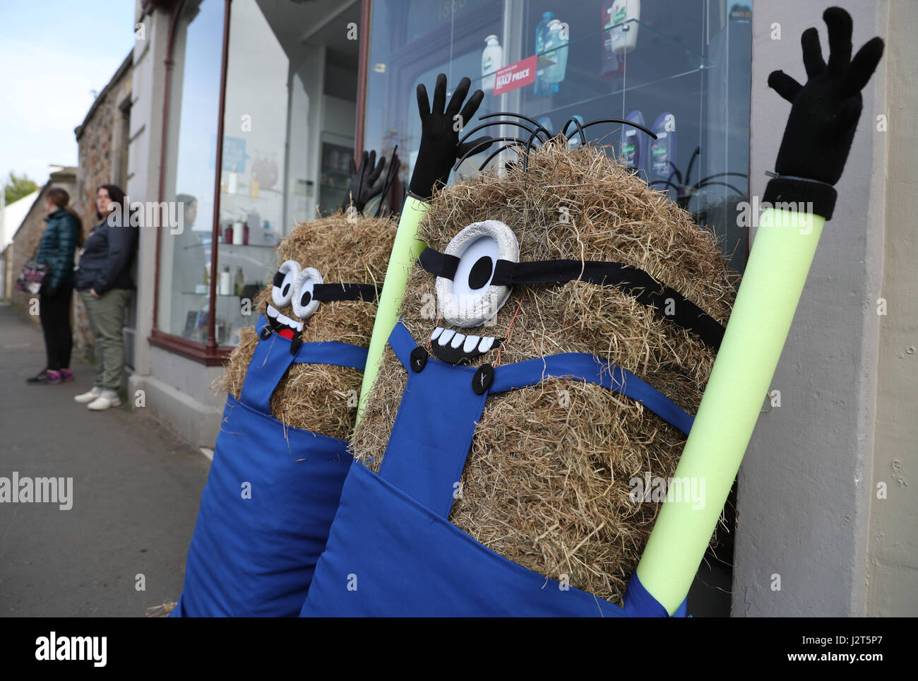 Minion scarecrows on display during the Elie Scarecrow festival in Elie ...