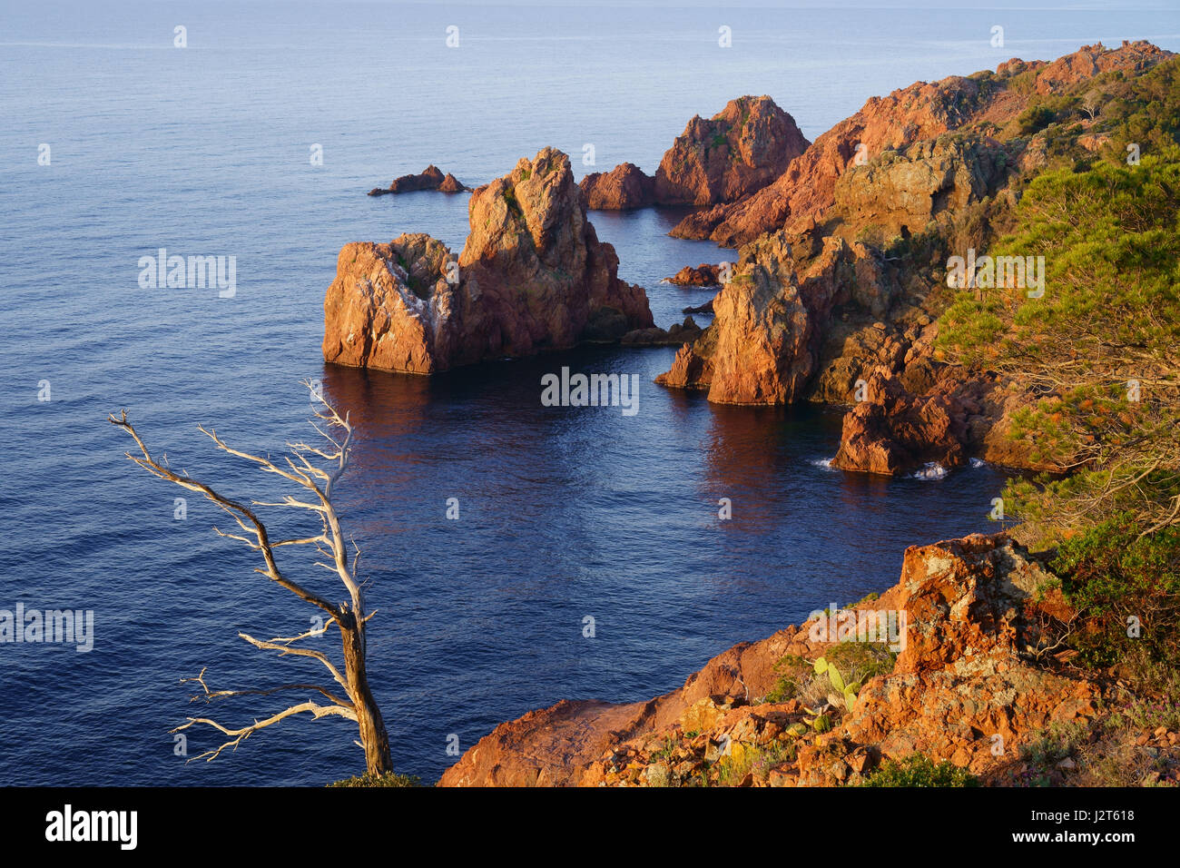 First light of the day on the red volcanic rock of the Esterel Massif ...