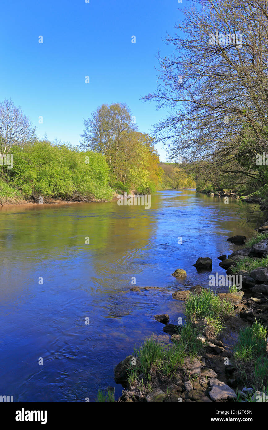 Stanley Water stretch on the River Severn, one of the most prolific for ...