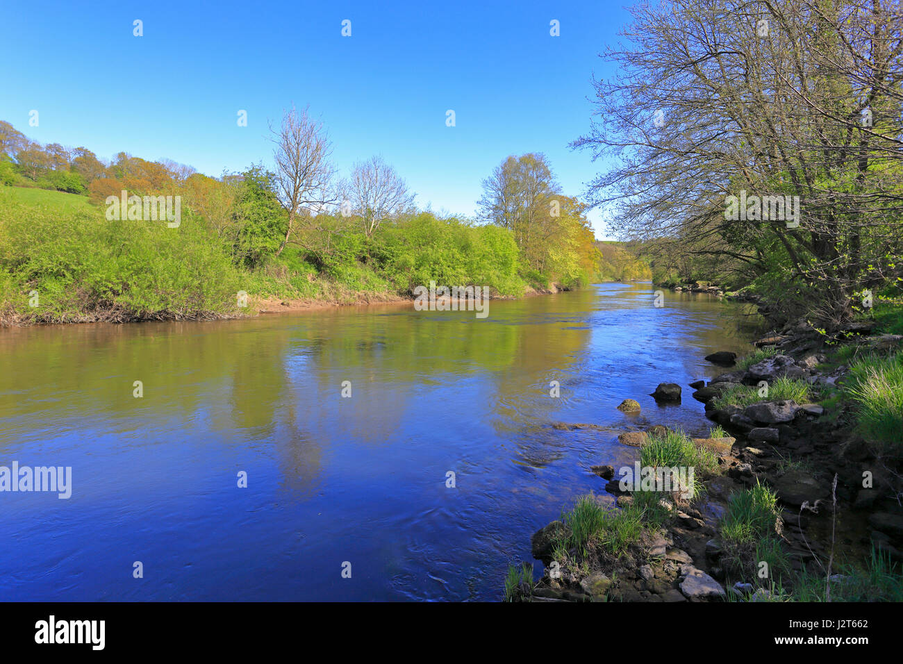 Stanley Water stretch on the River Severn, one of the most prolific for ...