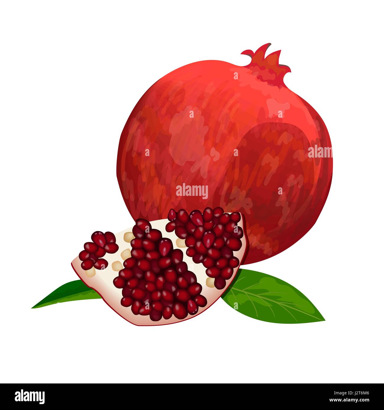 Pomegranate grains Stock Vector Images - Alamy