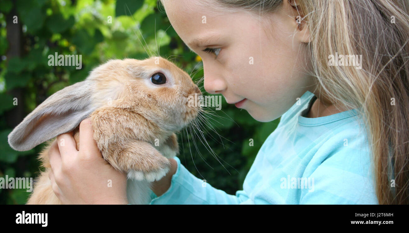 A little girl holds a young dwarf rabbit Stock Photo - Alamy