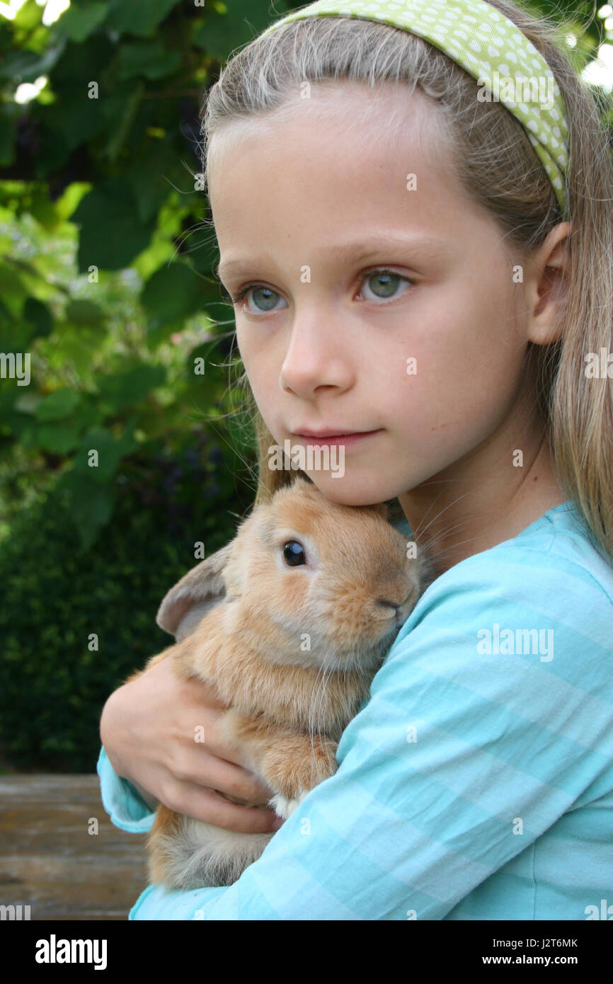 A little girl holds a young dwarf rabbit Stock Photo - Alamy