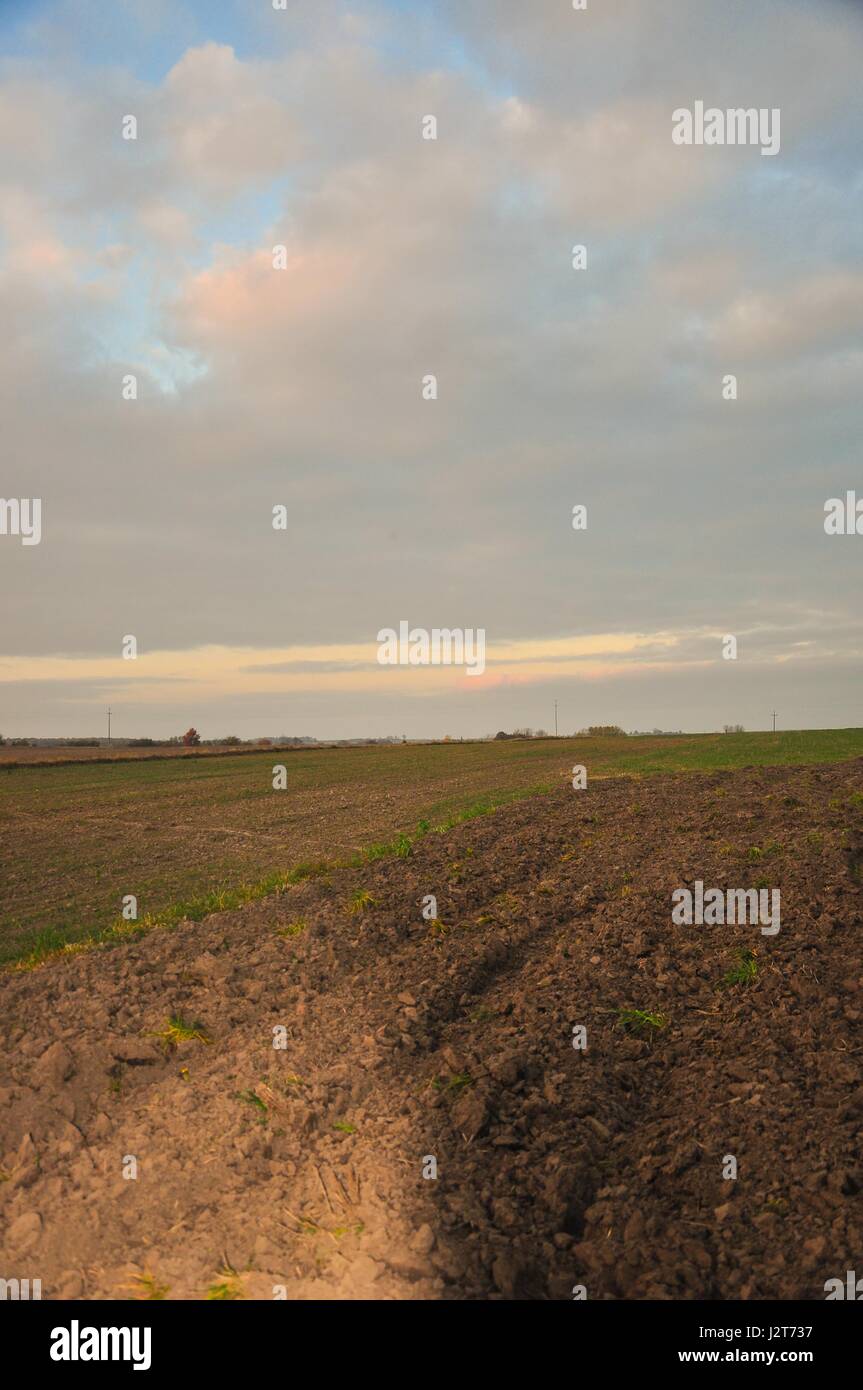 a field in the polish countryside Stock Photo - Alamy