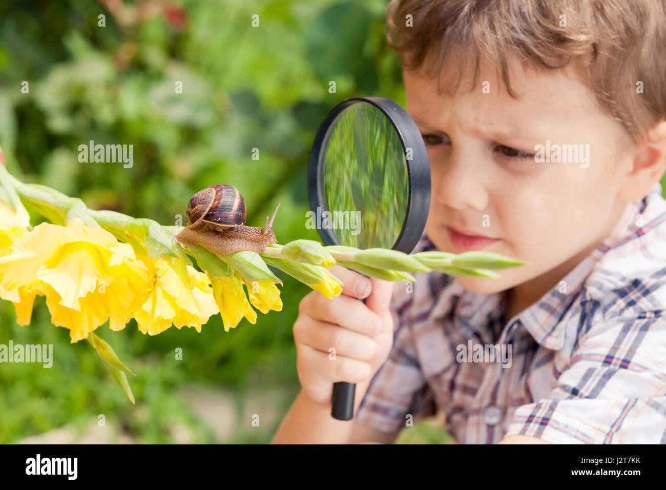 Boy with magnifying glass snail hi-res stock photography and images - Alamy