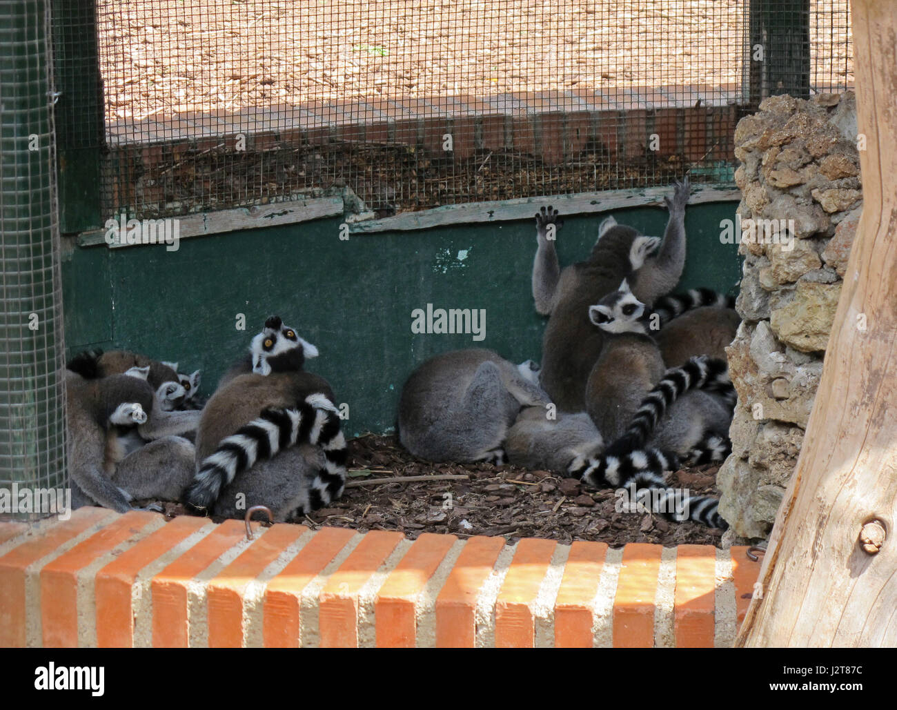 Madagascar and grenada hi-res stock photography and images - Alamy